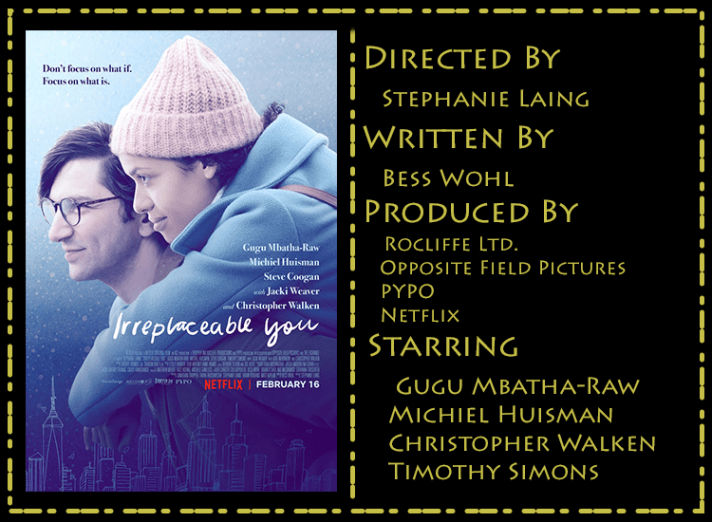 Irreplaceable You – Movie Meister Reviews