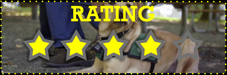 Pick Of The Litter (2019) – How Much Is That Doggie In The Window ...