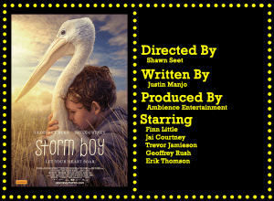 Storm Boy (2019) – It’s Beak Can Hold More Than It’s Belly Can – Movie ...