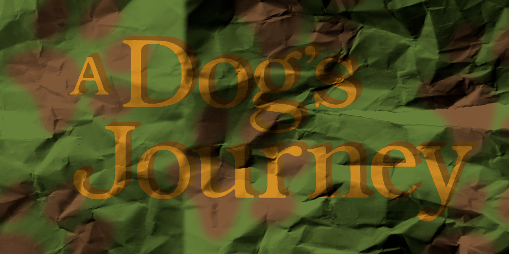 A Dog’s Journey (2019) – Dog Gone – Movie Meister Reviews