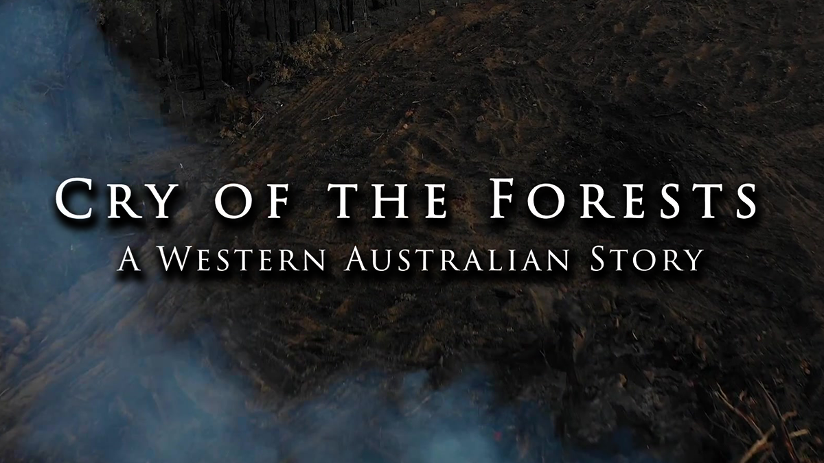 Cry Of The Forests (2020) – They Speak For The Trees – Movie Meister ...