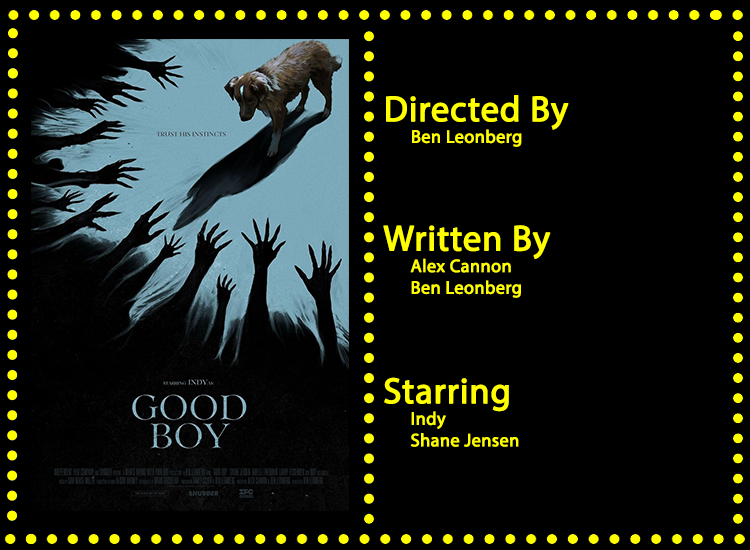 Good Boy (2025) – Barking Brilliant – Movie Meister Reviews